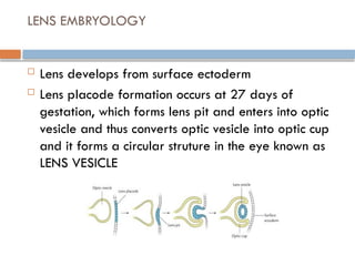 ANATOMY OF LENS AND FACTORS AFFECTING LENS TRANSPARENCY.pptx