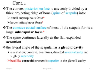 anatomy of limb( upper and lower limb).pdf