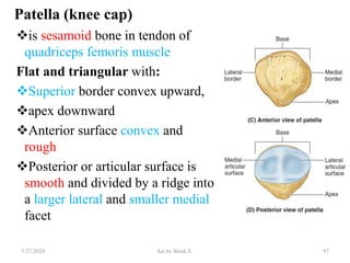 anatomy of limb( upper and lower limb).pdf