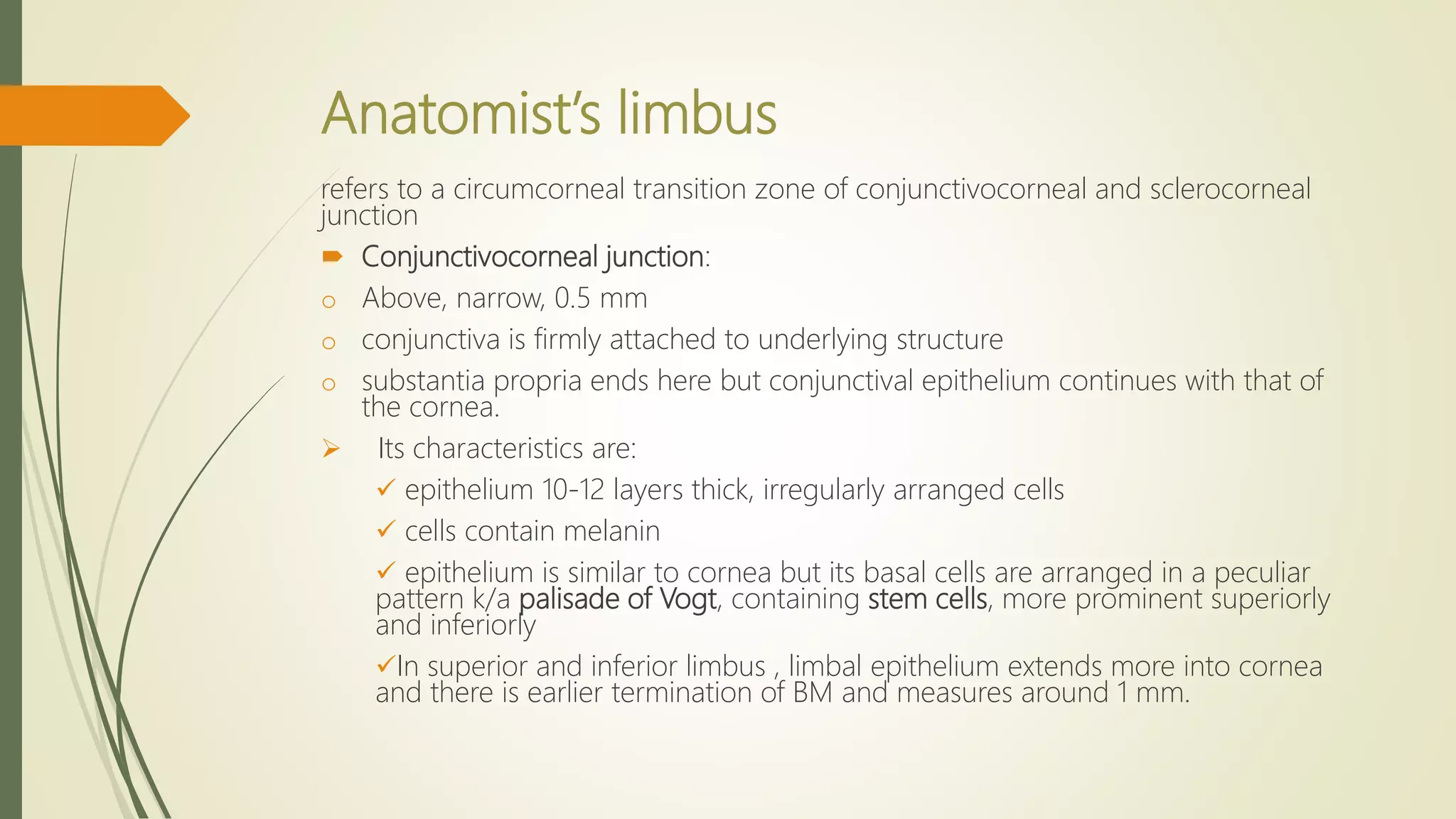 Anatomy of limbus, Stem cell deficiency.pptx