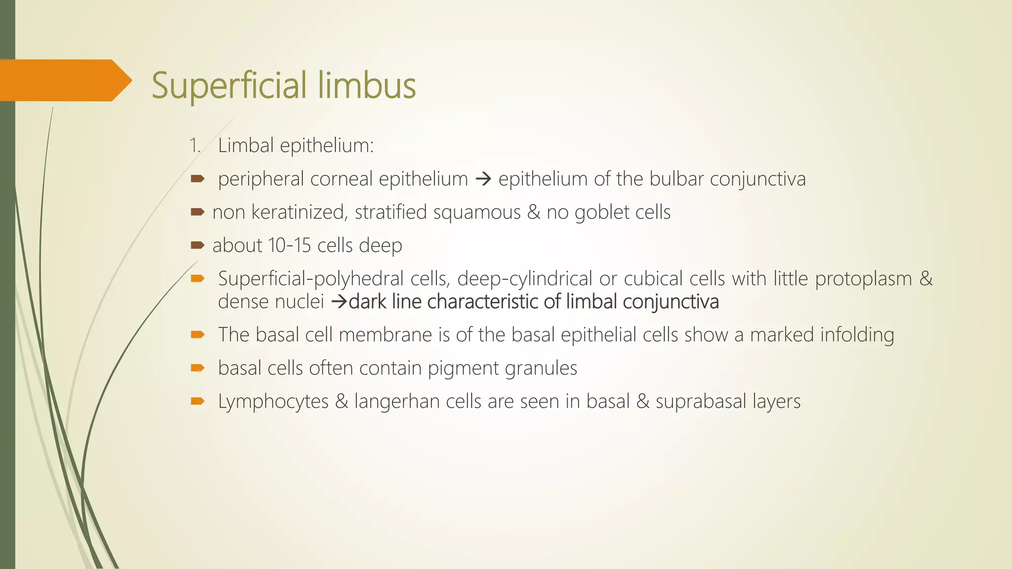 Anatomy of limbus, Stem cell deficiency.pptx