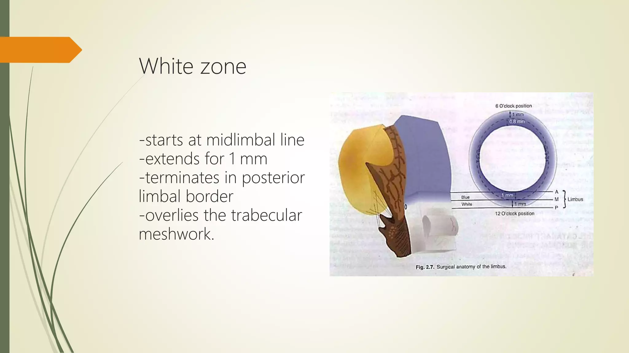 Anatomy of limbus, Stem cell deficiency.pptx