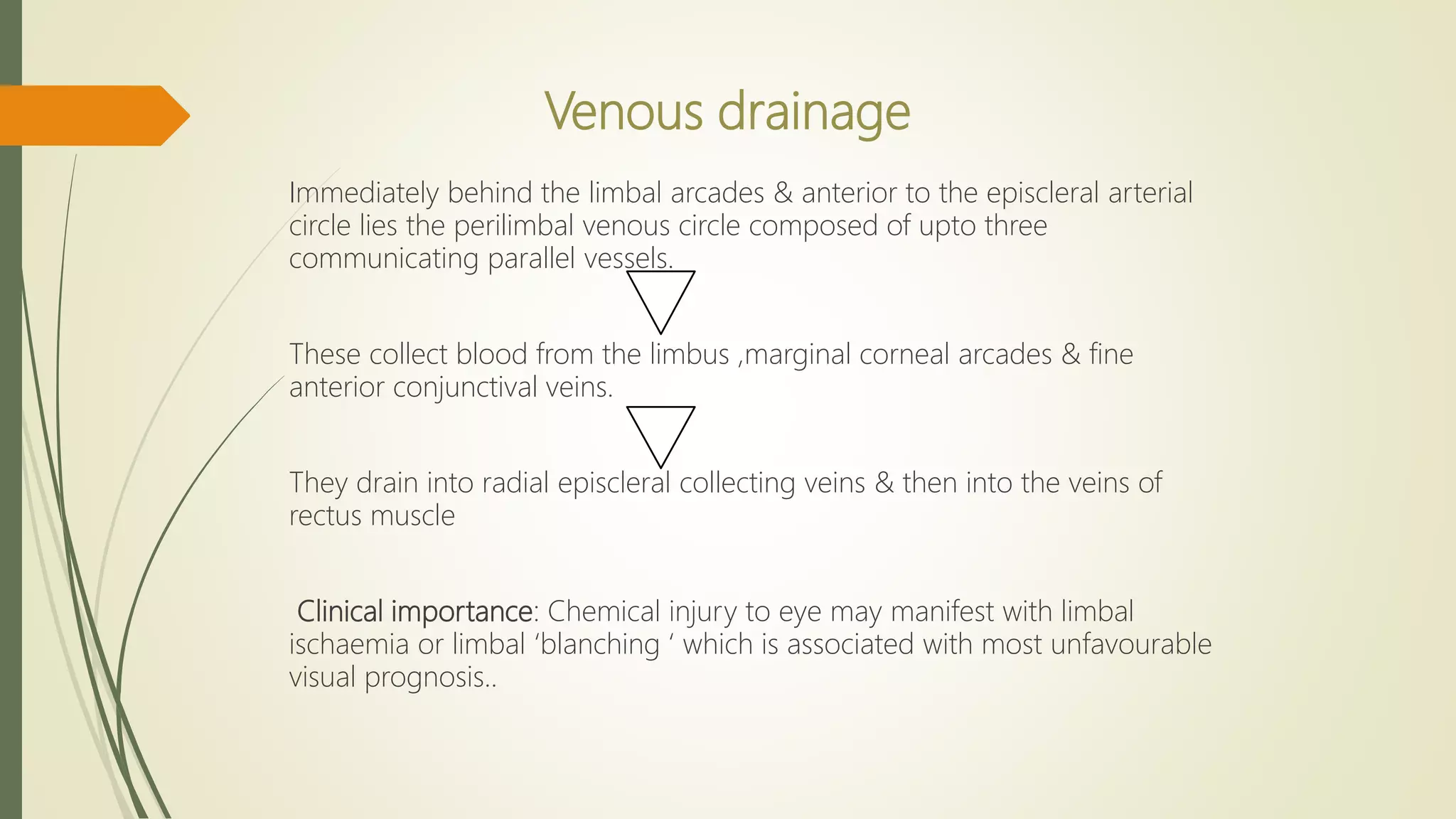 Anatomy of limbus, Stem cell deficiency.pptx