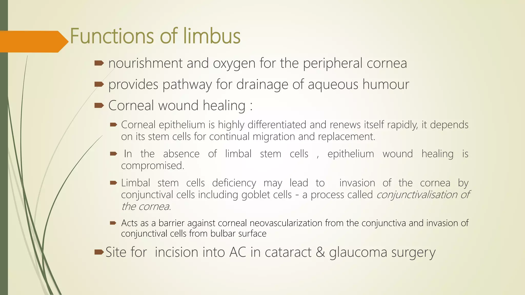 Anatomy of limbus, Stem cell deficiency.pptx
