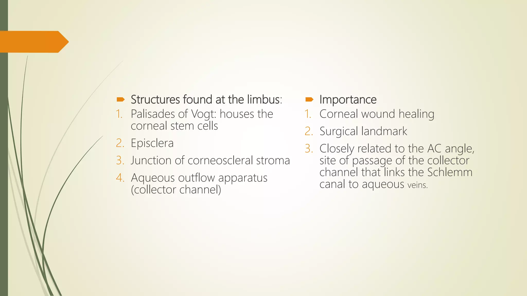 Anatomy of limbus, Stem cell deficiency.pptx