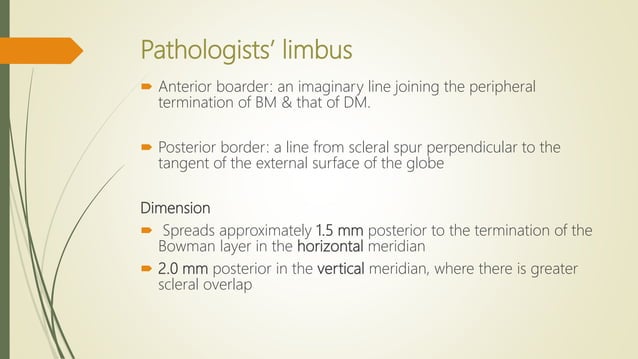 Anatomy of limbus, Stem cell deficiency.pptx