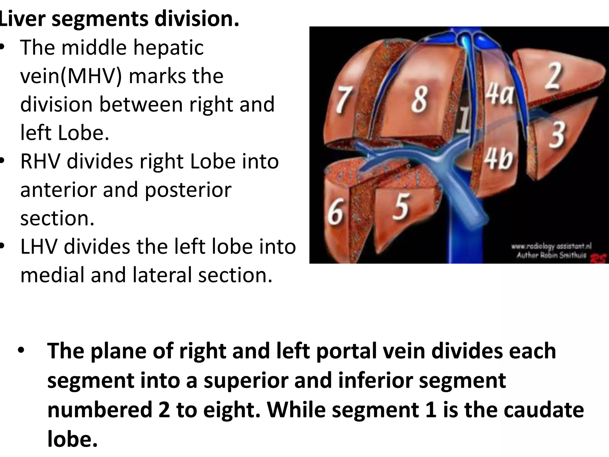 Anatomy of liver, spleen , pancreas(radiological) | PPTX