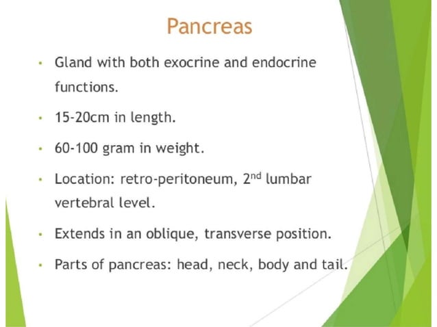 Anatomy of liver, spleen , pancreas(radiological) | PPTX | Medical Health