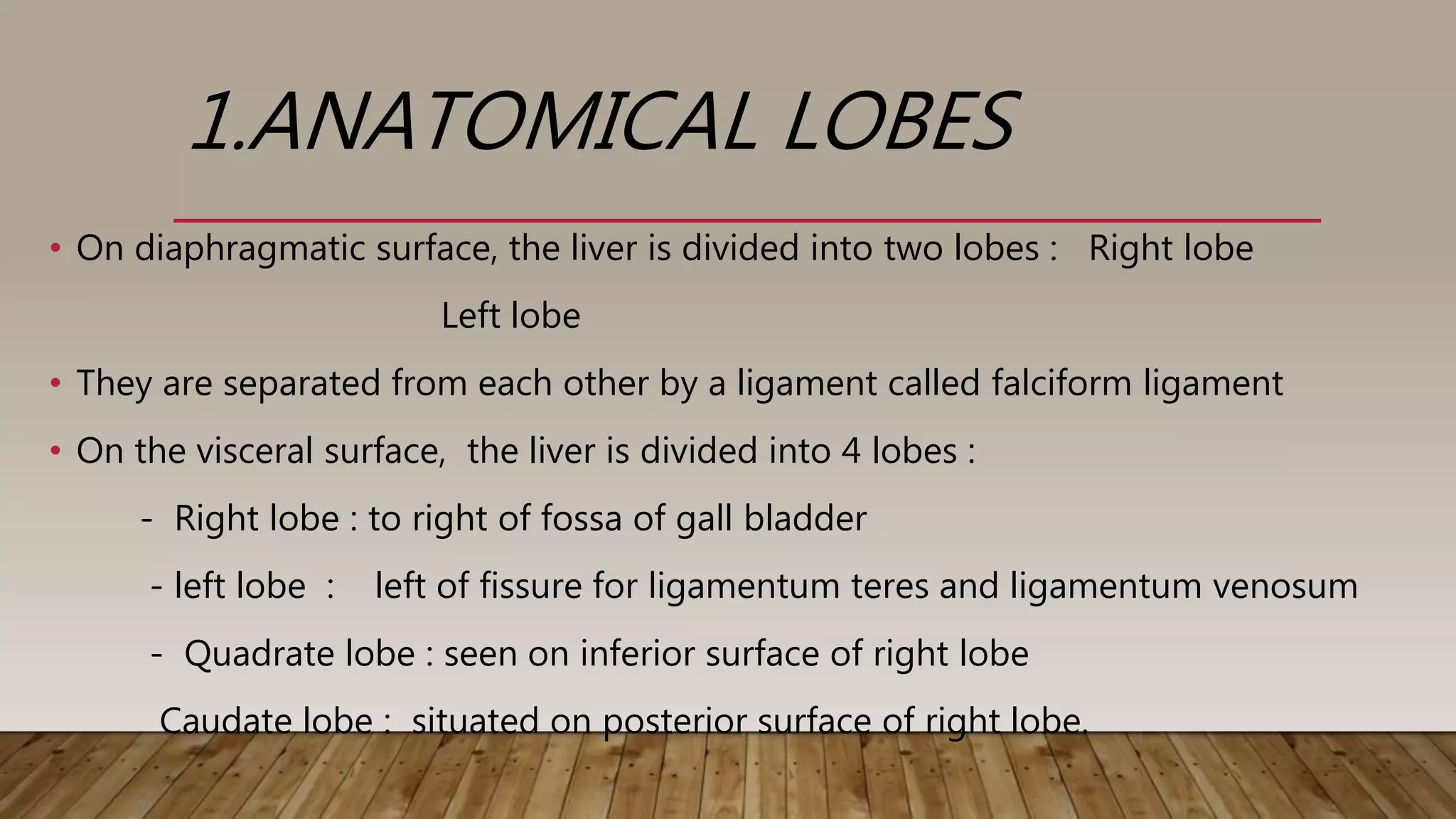 Anatomy of liver | PPTX