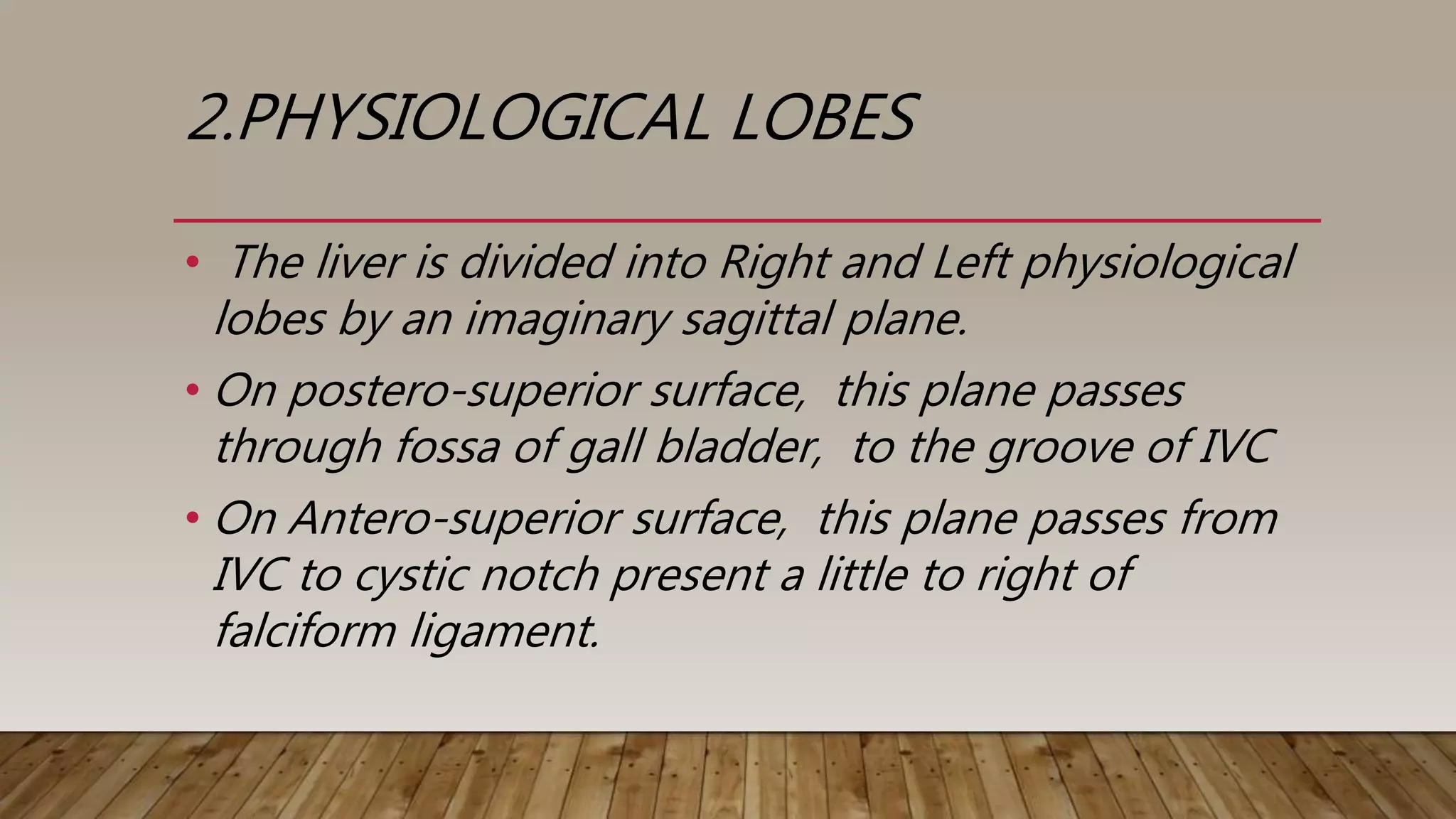 Anatomy of liver | PPTX