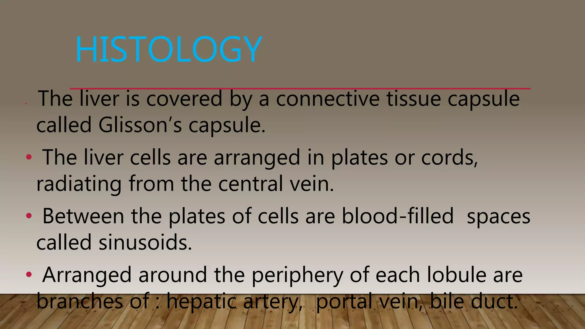 Anatomy of liver | PPTX
