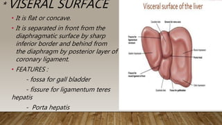 Anatomy of liver | PPTX
