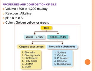 Anatomy of liver | PPTX