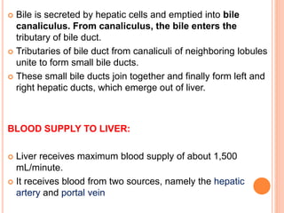 Anatomy of liver | PPTX