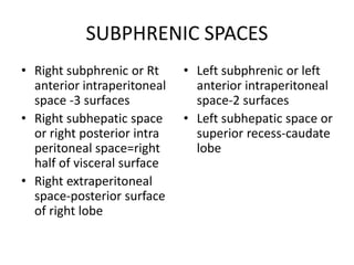ANATOMY OF LIVER.ppt | Death, Injury, or Military Conflict | Sensitive ...