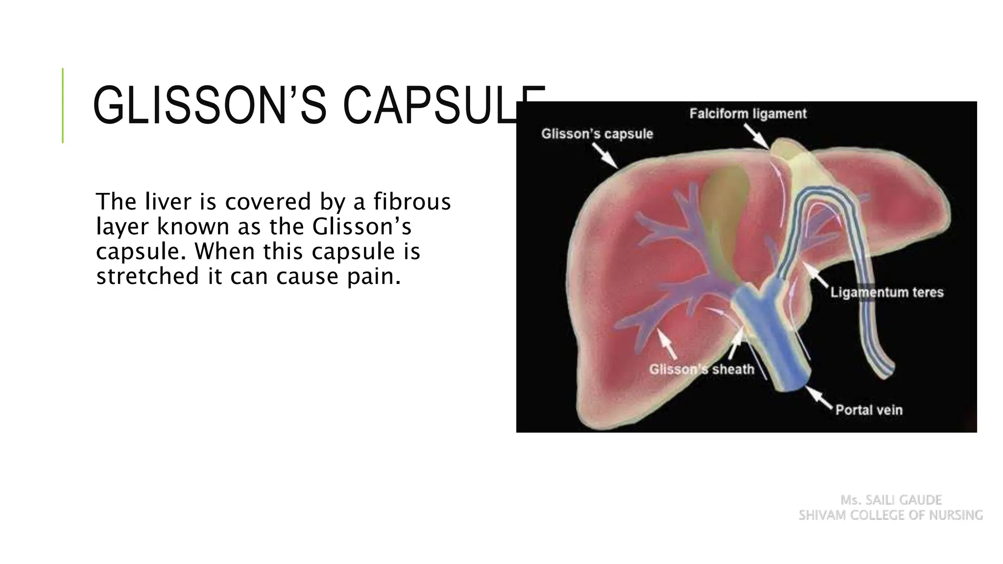 ANATOMY AND PHYSIOLOGY OF LIVER.pptx