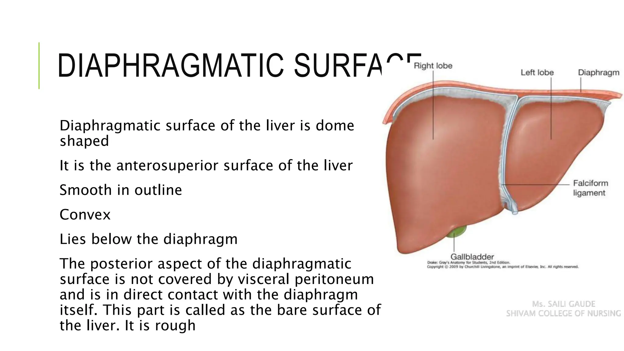 ANATOMY AND PHYSIOLOGY OF LIVER.pptx