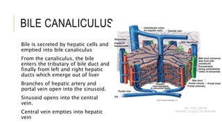 ANATOMY AND PHYSIOLOGY OF LIVER.pptx