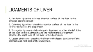 ANATOMY AND PHYSIOLOGY OF LIVER.pptx
