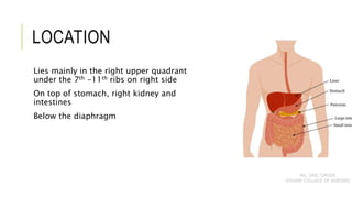 ANATOMY AND PHYSIOLOGY OF LIVER.pptx