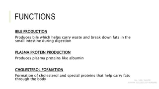 ANATOMY AND PHYSIOLOGY OF LIVER.pptx