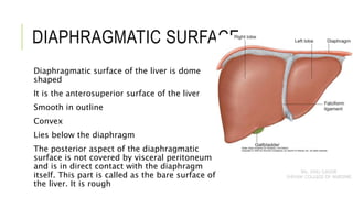 ANATOMY AND PHYSIOLOGY OF LIVER.pptx