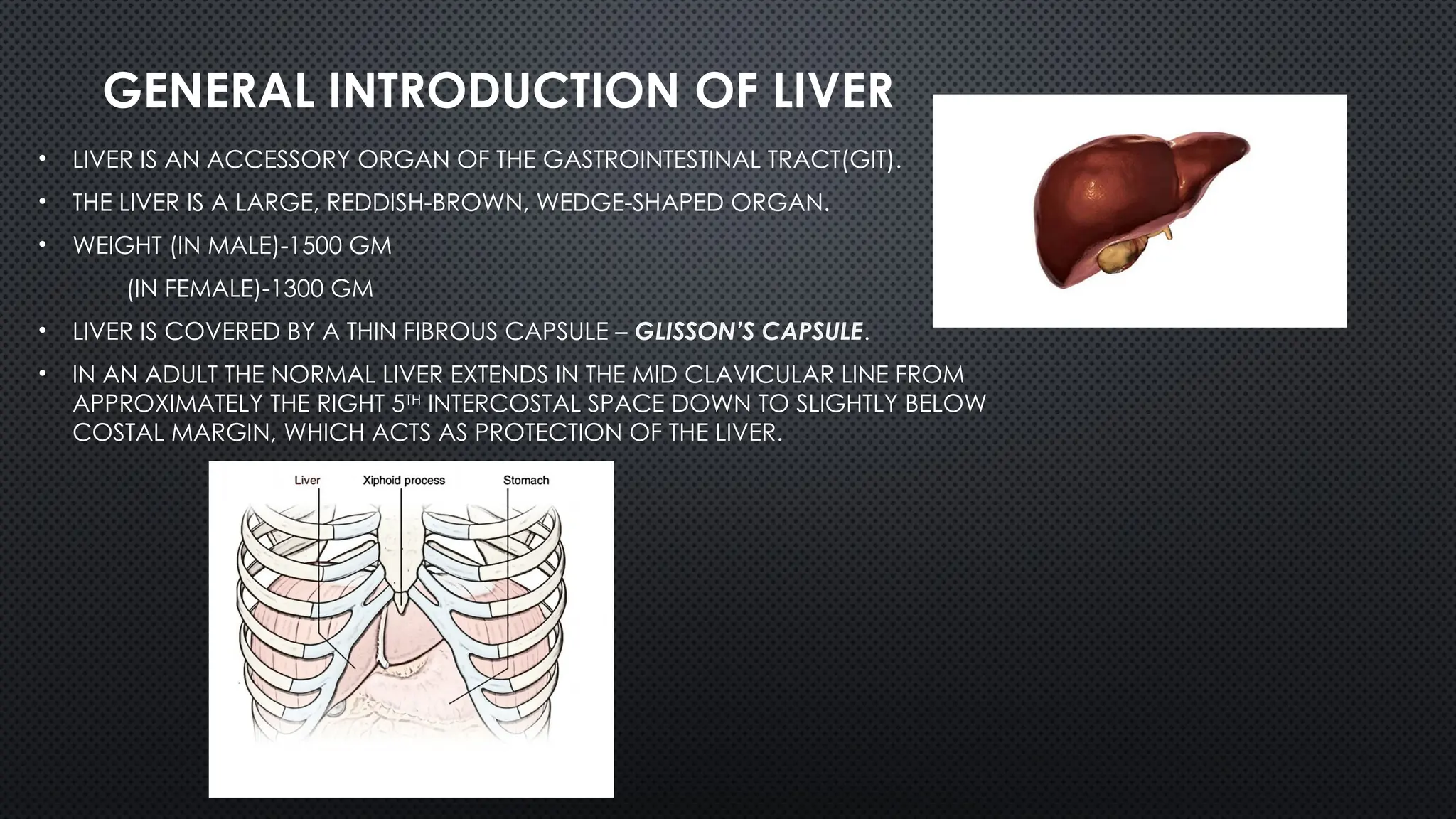 Anatomy Of Liver (Dr. Shubham Gupta).pptx