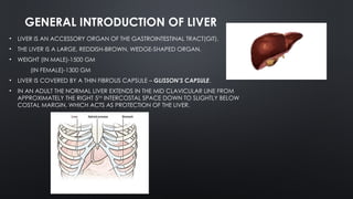 Anatomy Of Liver (Dr. Shubham Gupta).pptx