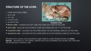 Anatomy Of Liver (Dr. Shubham Gupta).pptx