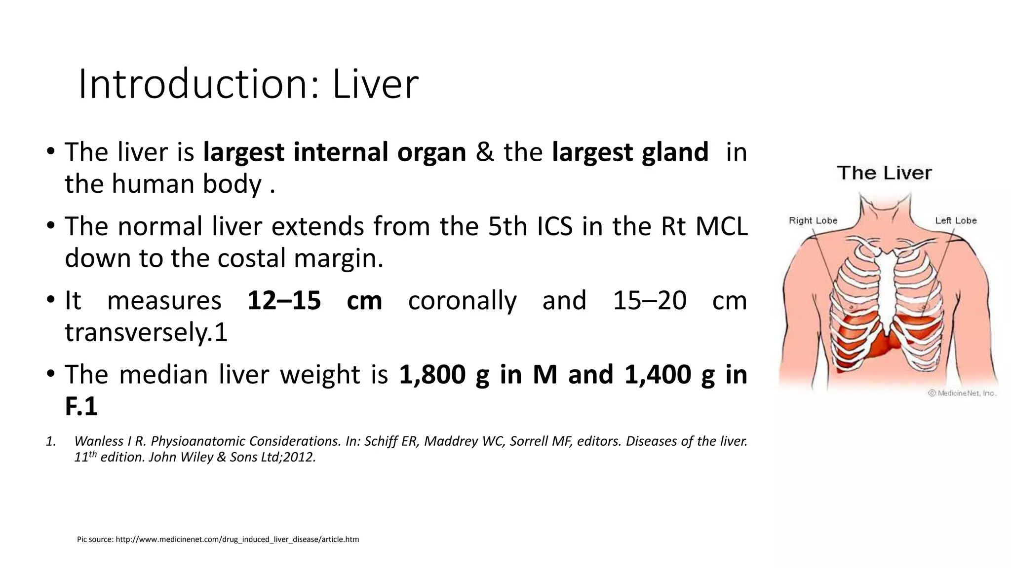 Anatomy of liver | PPTX