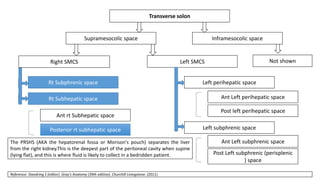 Anatomy of liver | PPTX