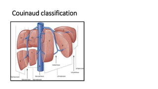 Anatomy of liver | PPTX