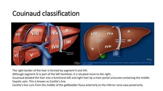 Anatomy of liver | PPTX