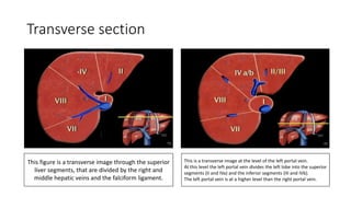 Anatomy of liver | PPTX