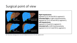 Anatomy of liver | PPTX
