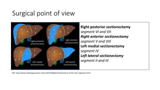 Anatomy of liver | PPTX