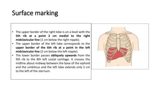 Anatomy of liver | PPTX