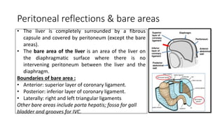 Anatomy of liver | PPTX