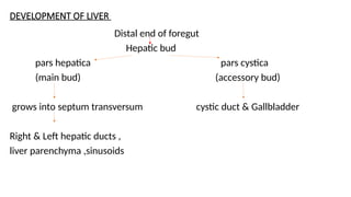 ANATOMY OF LIVER hepatology physiology and | PPTX
