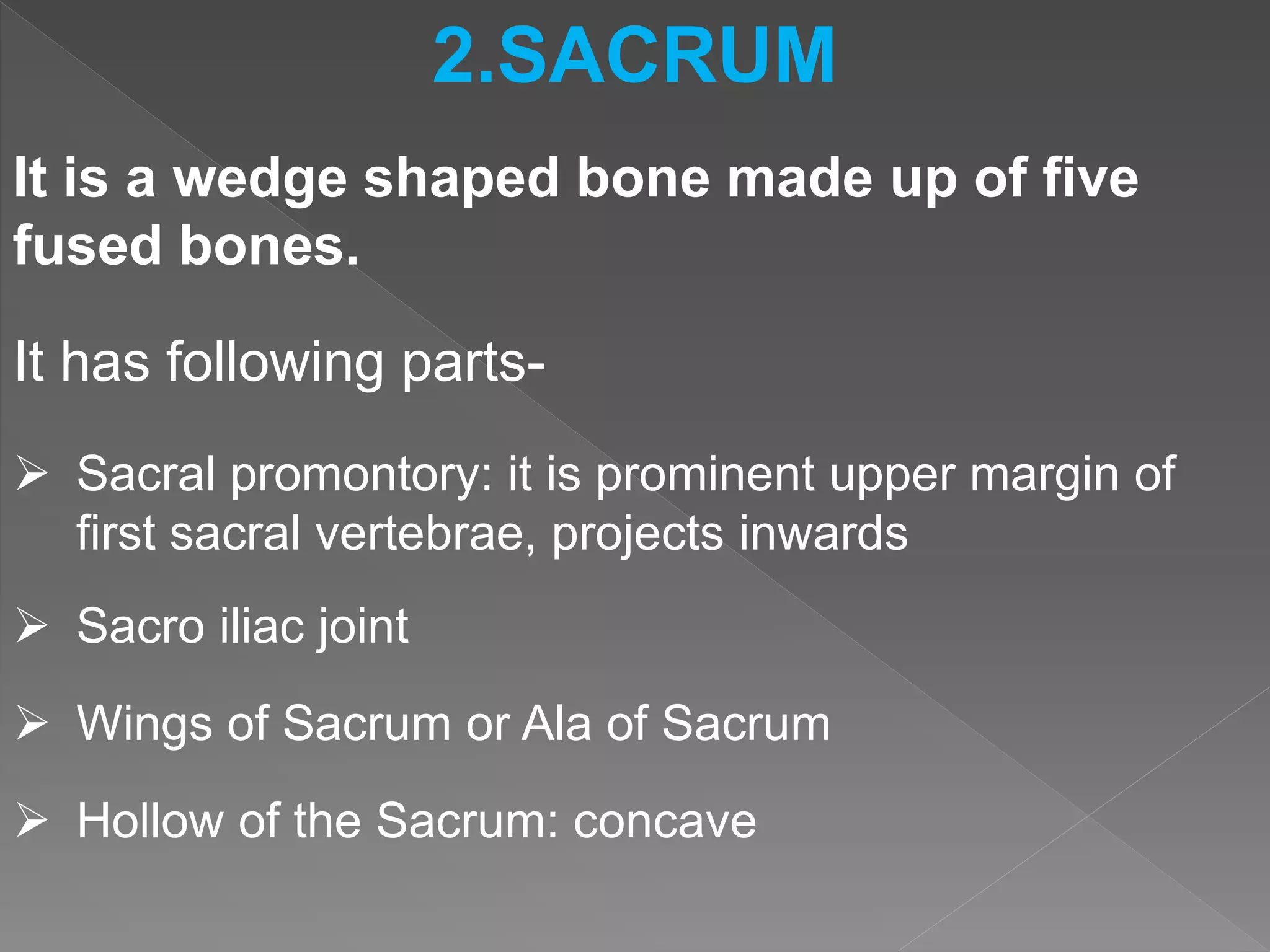 bones of lower limb and anatomy of lower limb | PPTX