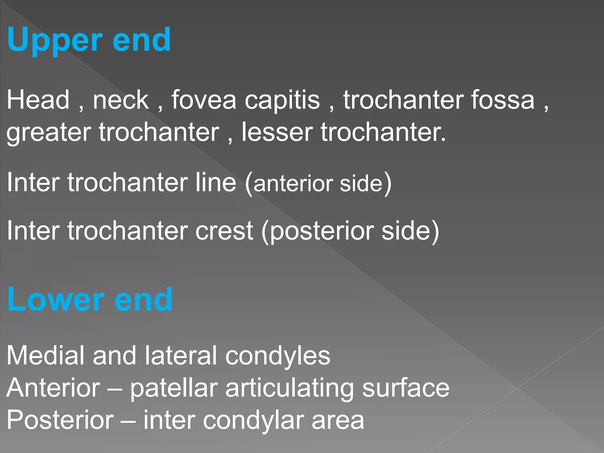 bones of lower limb and anatomy of lower limb | PPTX