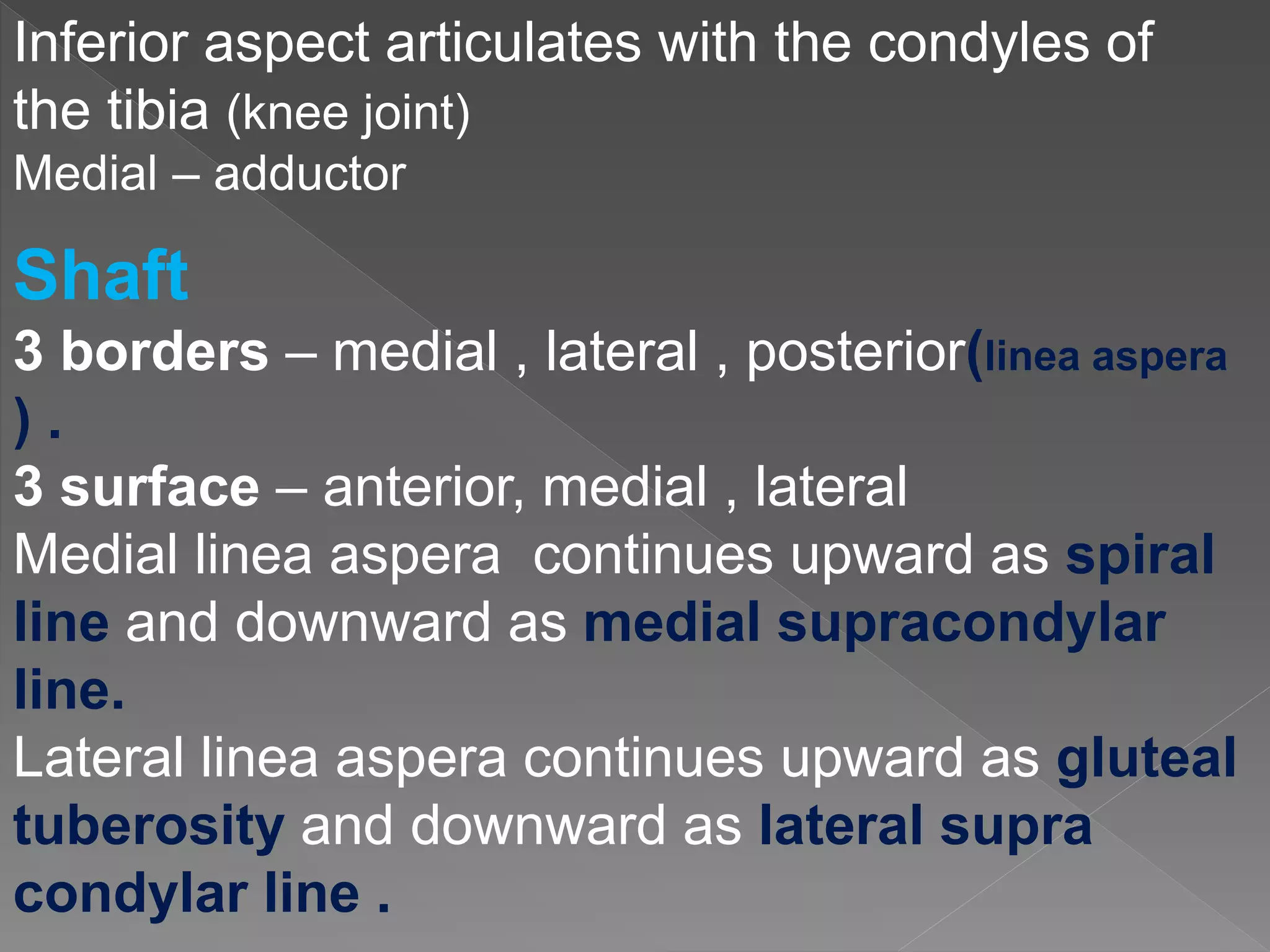 bones of lower limb and anatomy of lower limb | PPTX