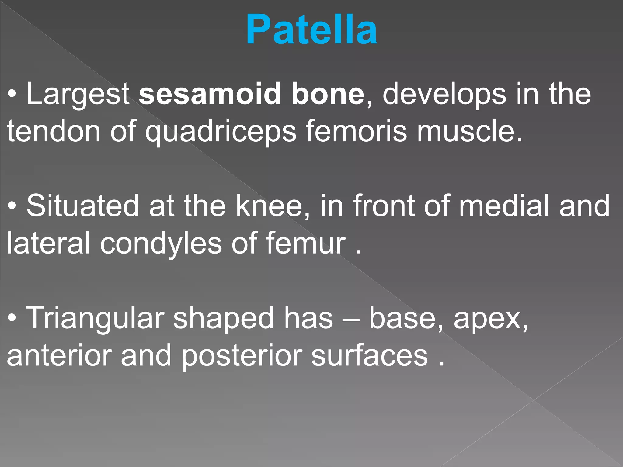 bones of lower limb and anatomy of lower limb | PPTX