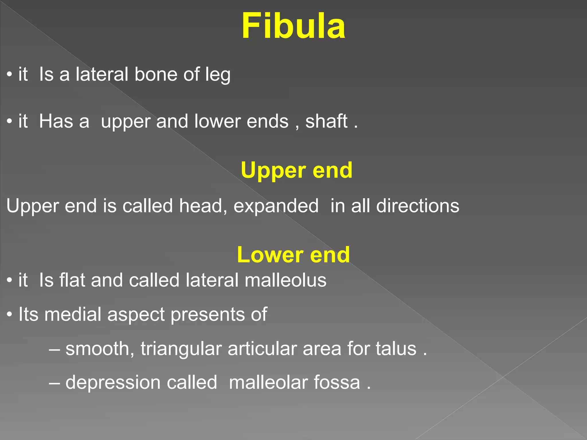 bones of lower limb and anatomy of lower limb | PPTX