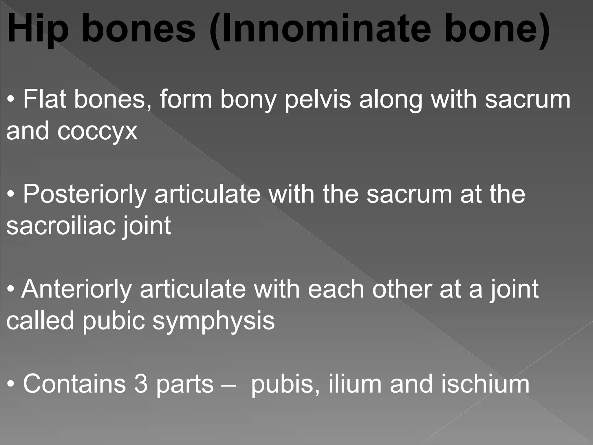 bones of lower limb and anatomy of lower limb | PPTX
