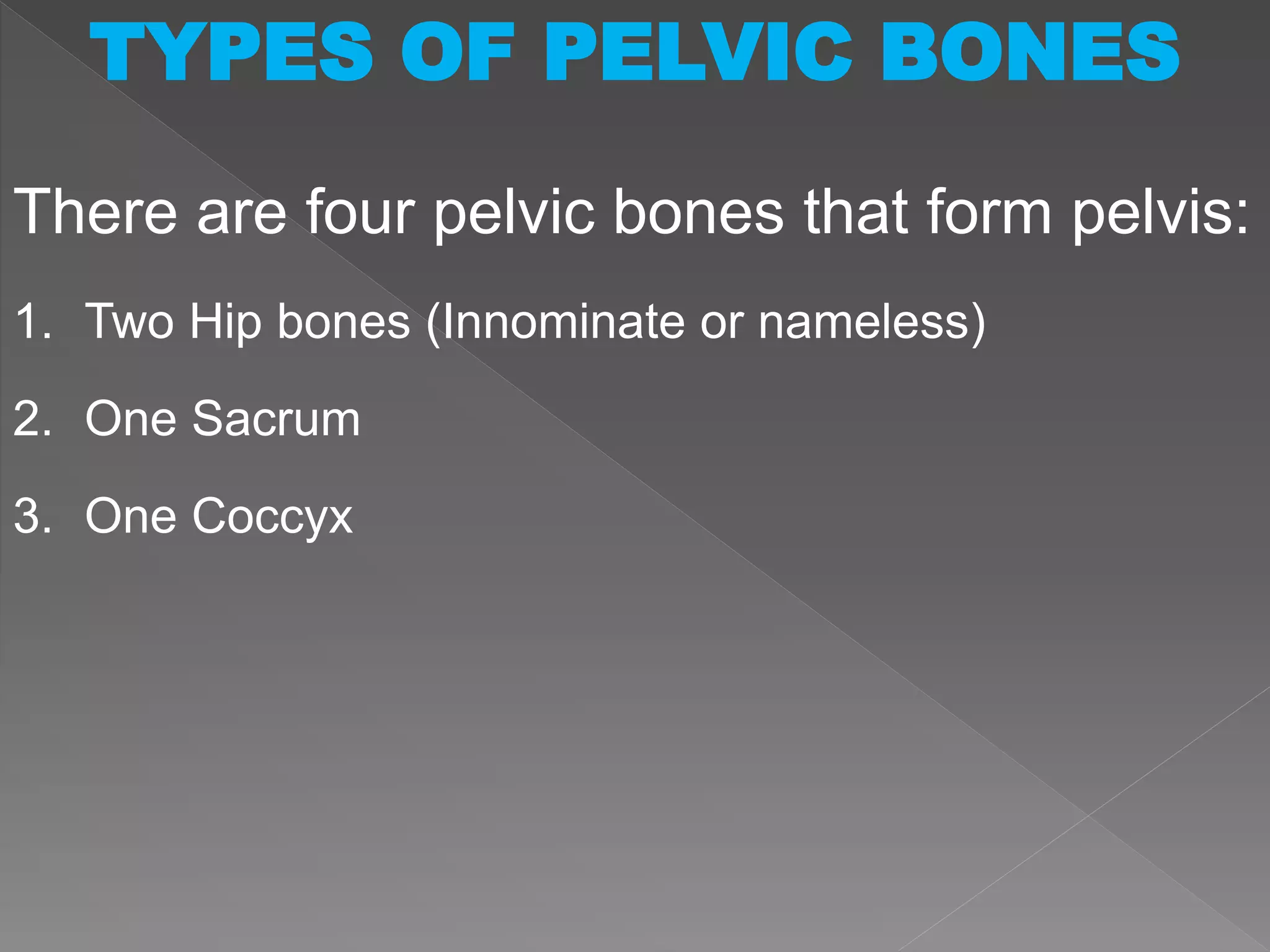 bones of lower limb and anatomy of lower limb | PPTX