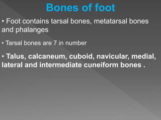 bones of lower limb and anatomy of lower limb | PPTX