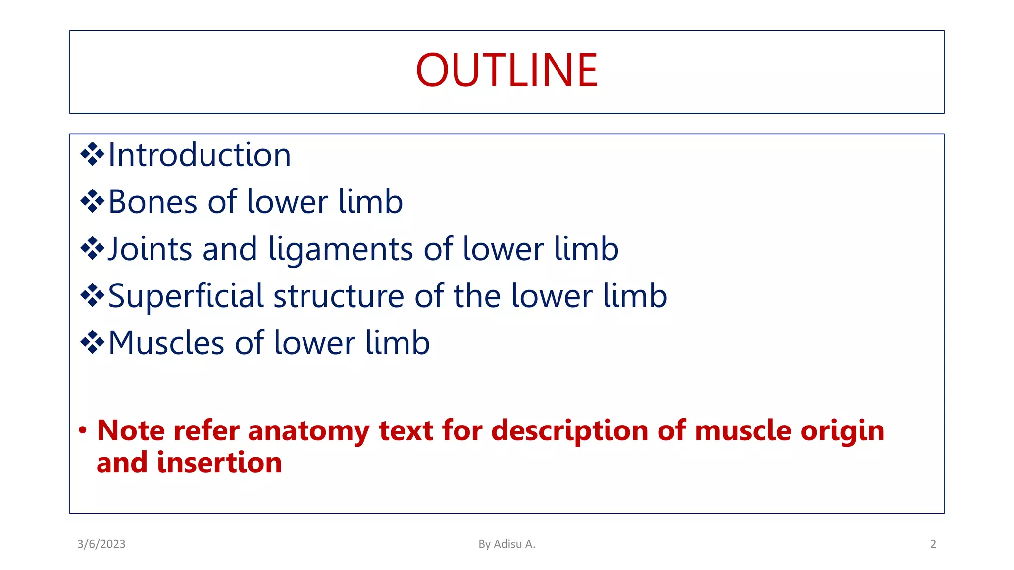 Anatomy of Lower Limb.pptx