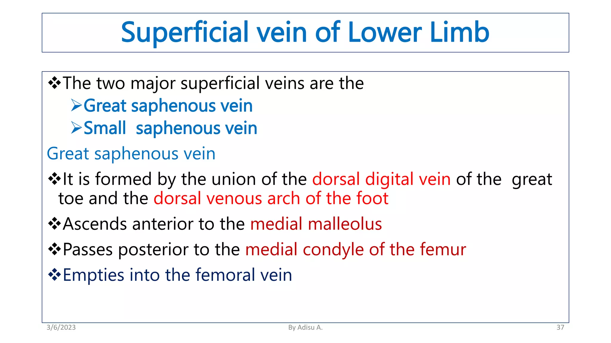 Anatomy of Lower Limb.pptx