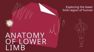 Regional anatomy lower limb. It has everything you need to study lower ...